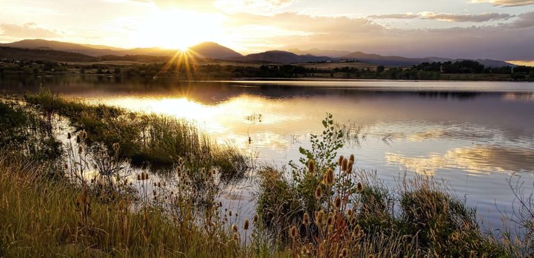 Cohere | Thrive Together